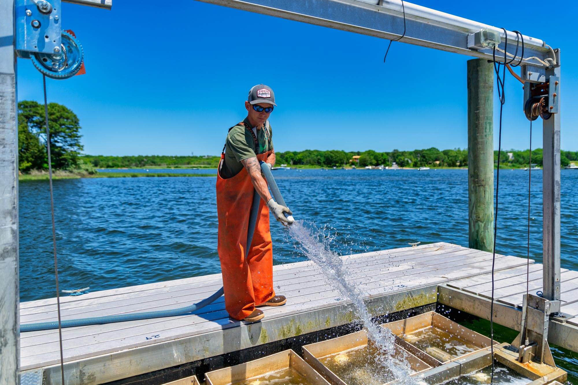 Contact Us | Cape Cod Oyster Company