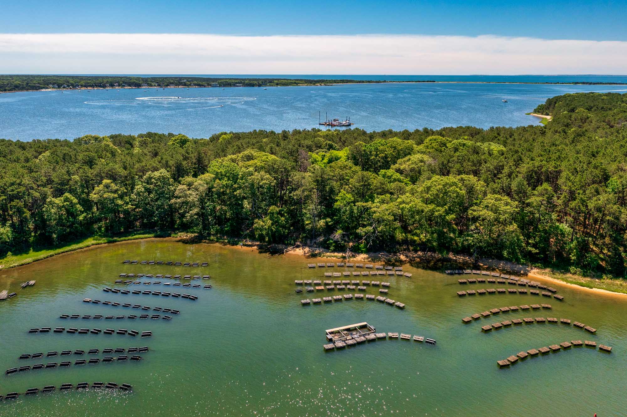 About | Cape Cod Oyster Company