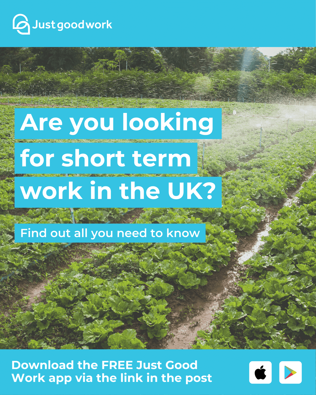 Just Good Work - UK Seasonal Worker Scheme