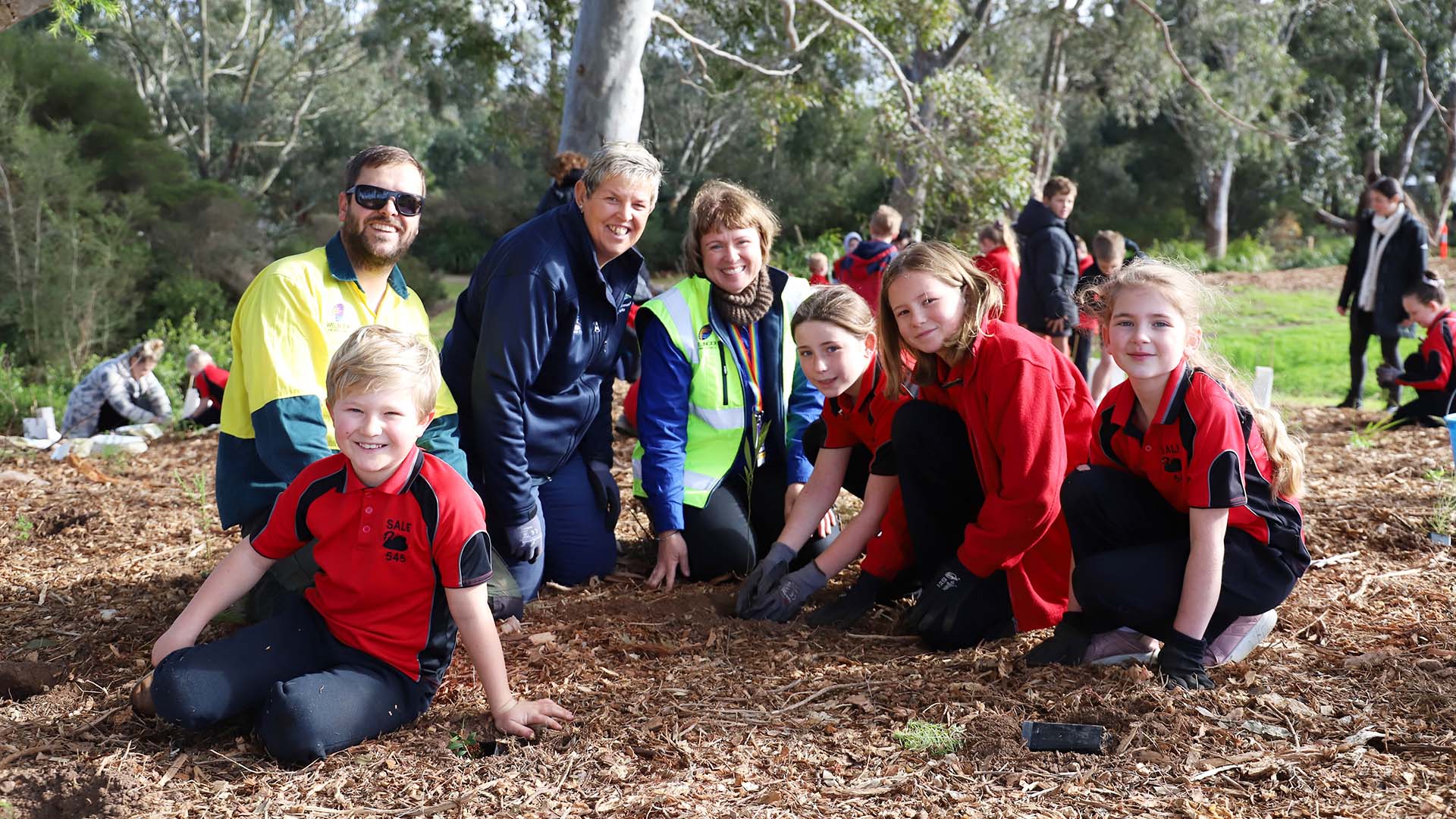 Council hits milestone of 100,000 plants | Mirage News