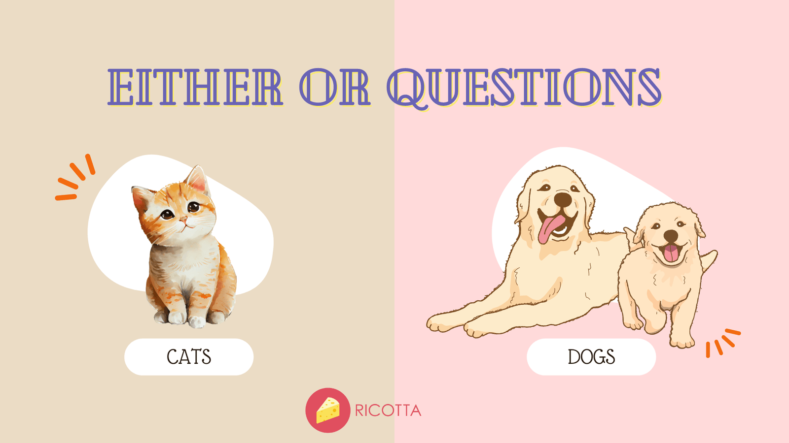 80+ Best Questions to Ask to Get to Know Someone