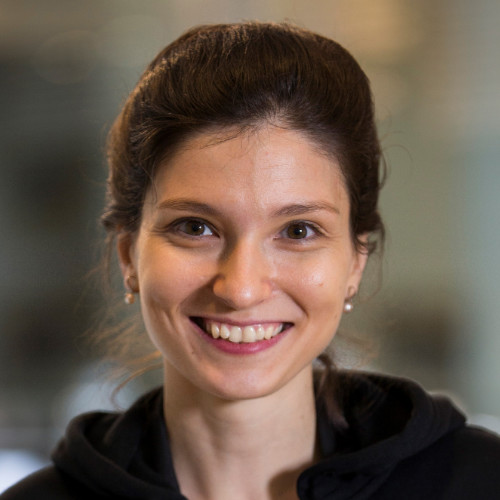 Feebris - A Different Kind of Technology Company