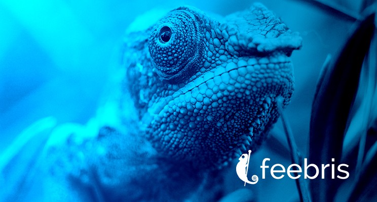 Feebris present at the International Virtual Medical Conference