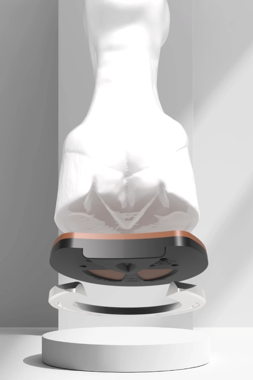 3D Hoof Care
