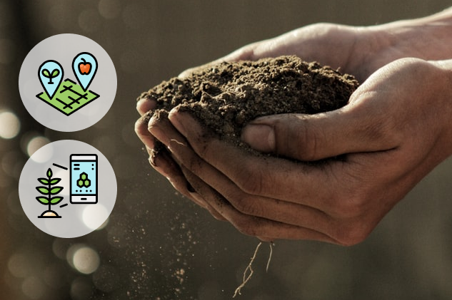 In-field precision - directed sampling, scouting and nutrient mapping ...