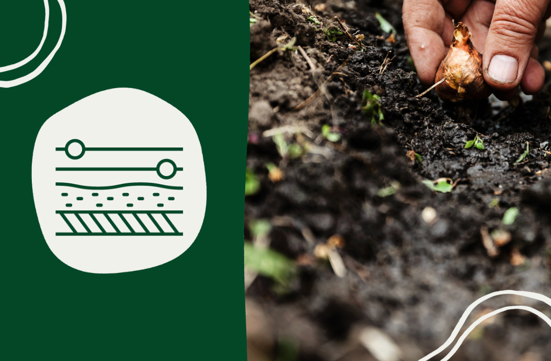 The Importance of Building Soil Structure | Regrow Ag