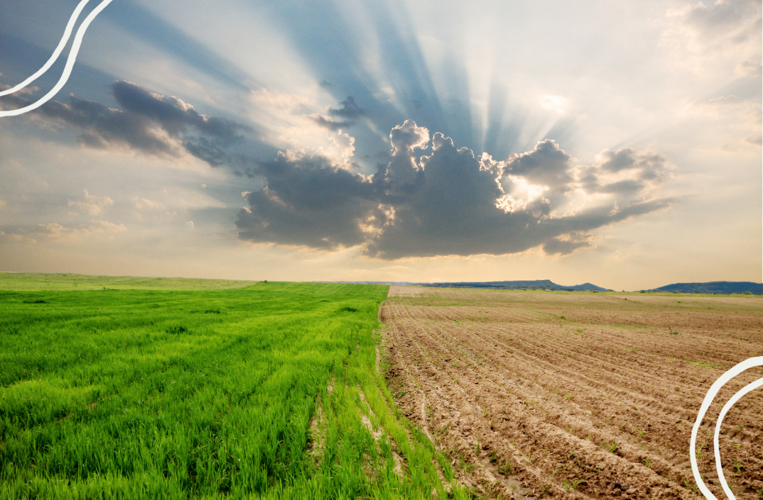 With Agriculture, We Can Stabilize our Climate | Regrow Ag