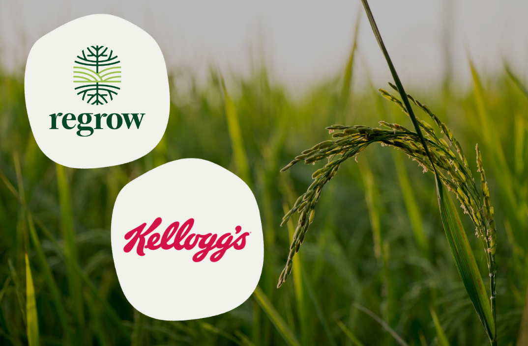 Kellogg & Regrow Partner to Reward Farmers for Reducing Greenhouse Gas ...