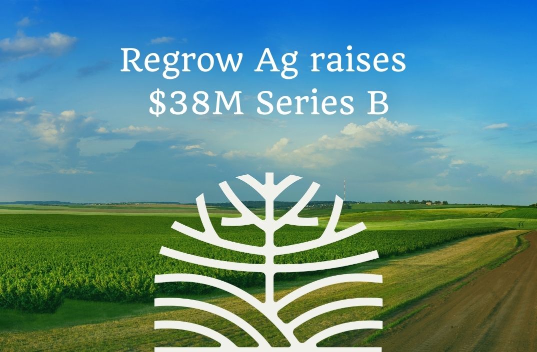 Regrow news and thought leadership