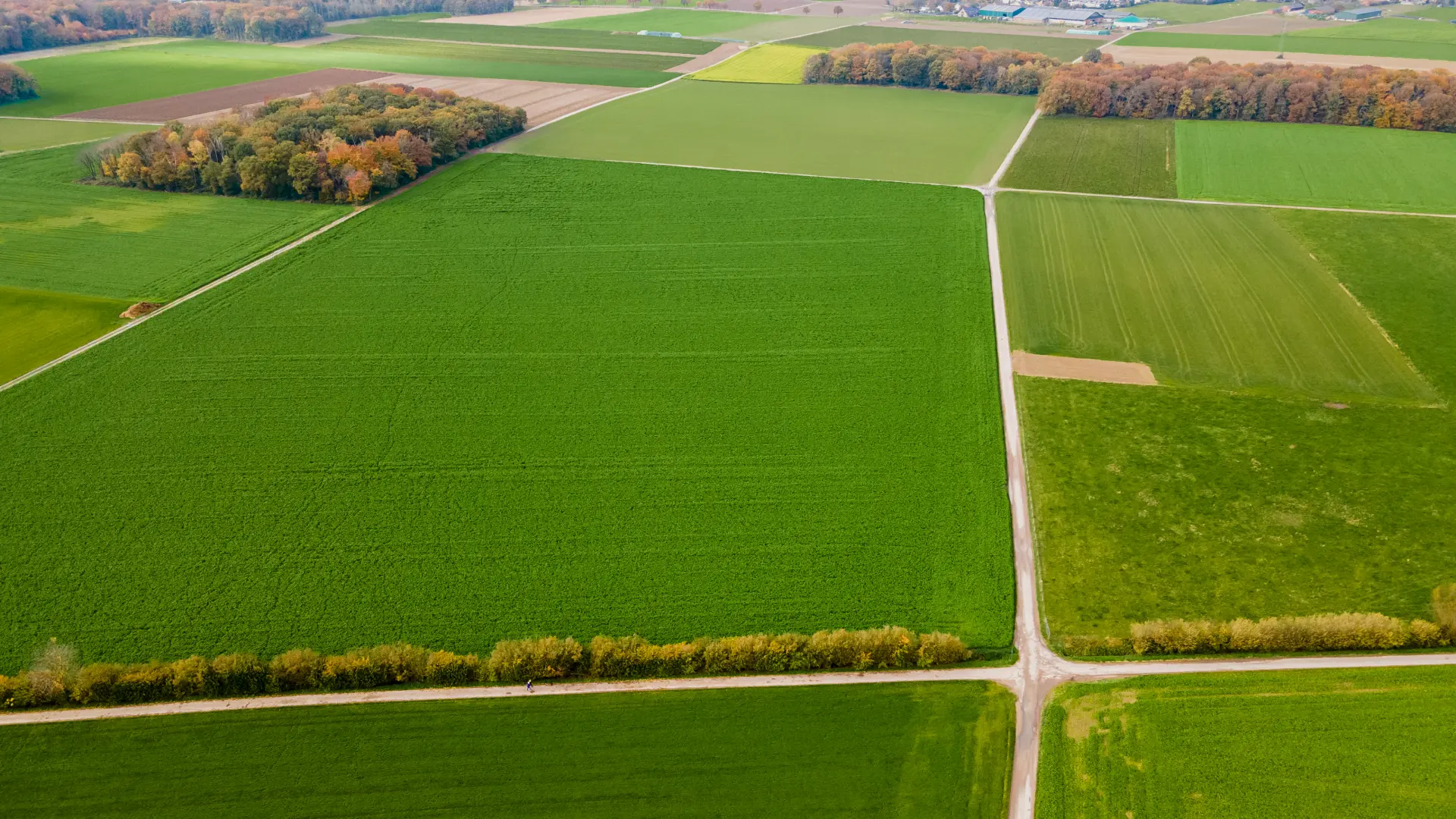 Addressing Upcoming GHG Reporting Rules | Regrow Ag