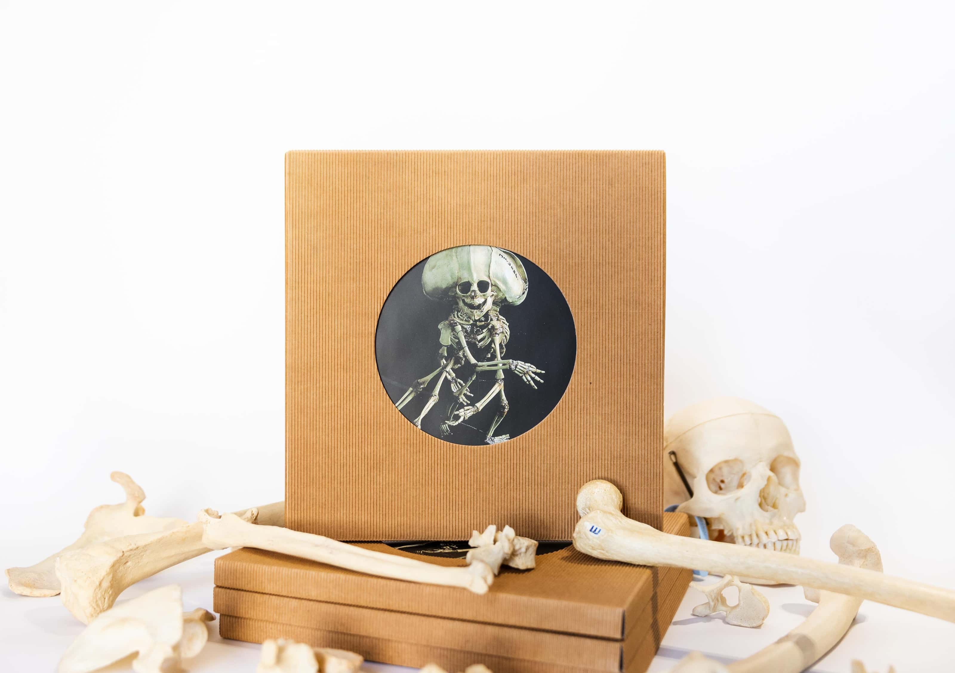 Shop Rare Human Bone Literature | JonsBones: Responsibly Sourced Human ...