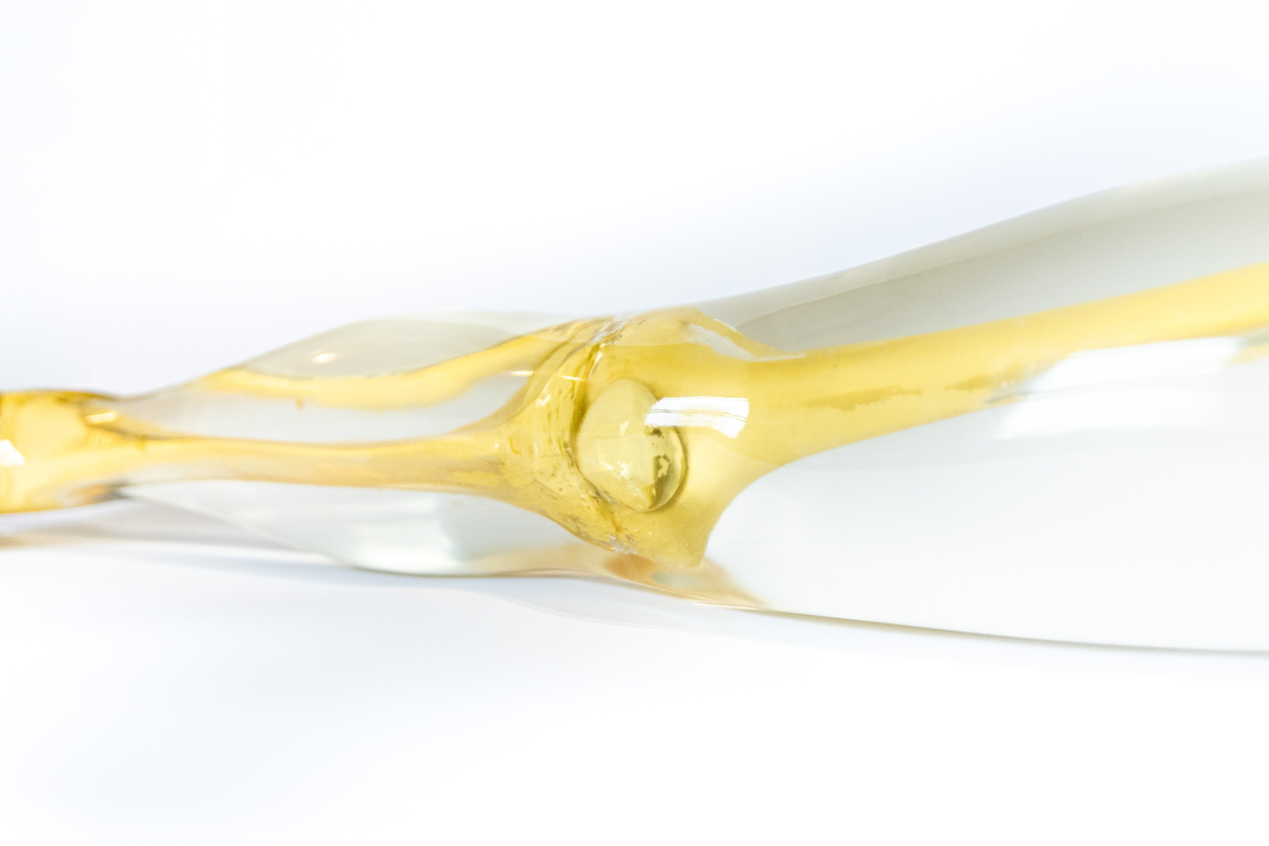 Phantom Leg And Pelvis | JonsBones: Responsibly Sourced Human Osteology