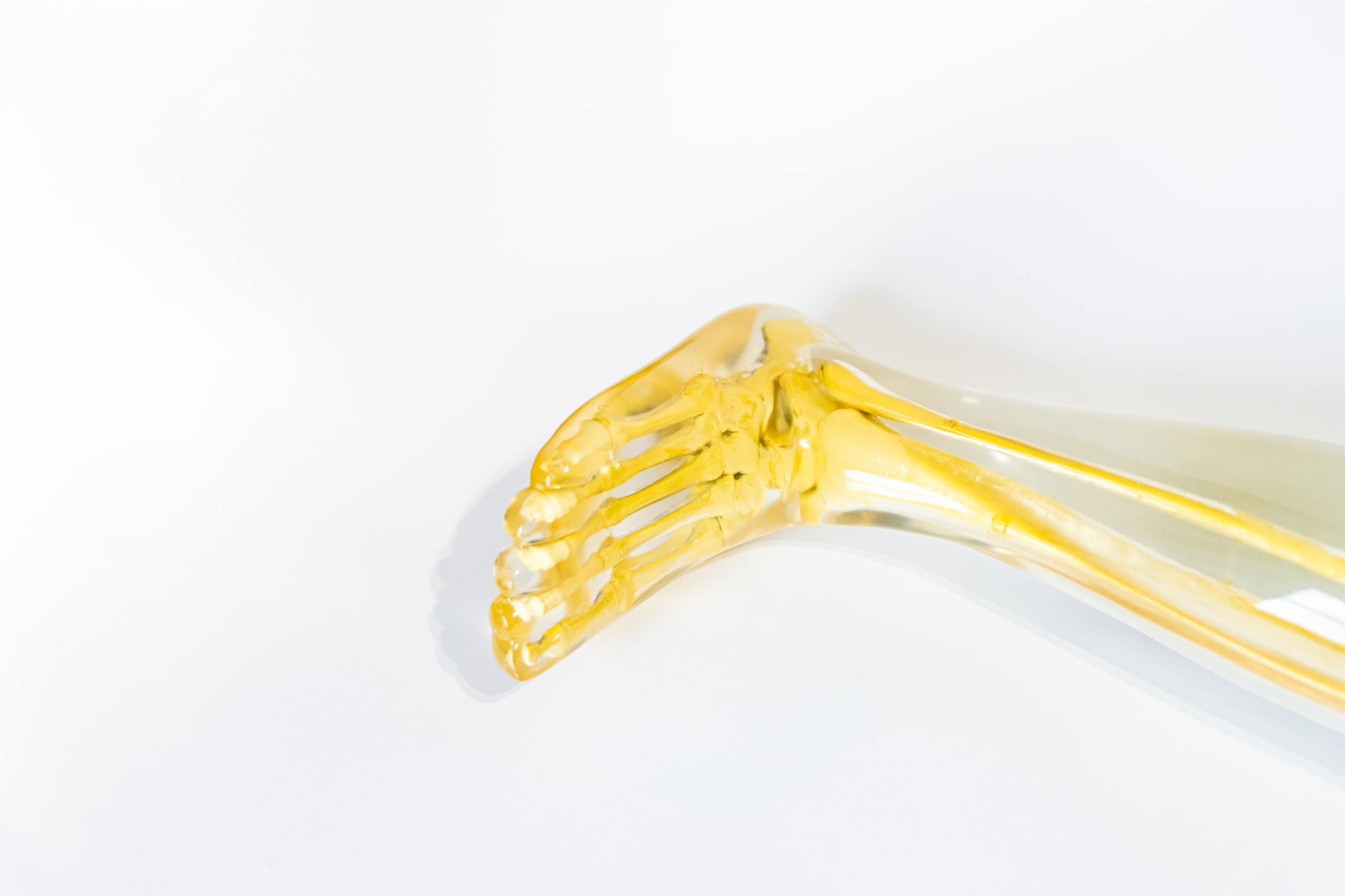 Phantom Leg And Pelvis | JonsBones: Responsibly Sourced Human Osteology