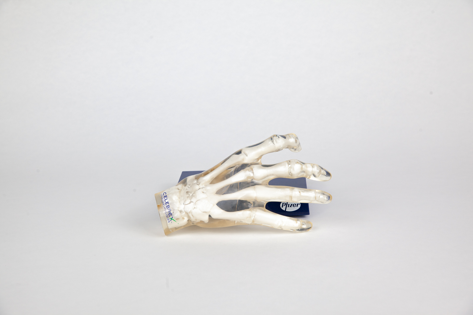 Phantom Hand Teaching Model | JonsBones: Responsibly Sourced Human ...
