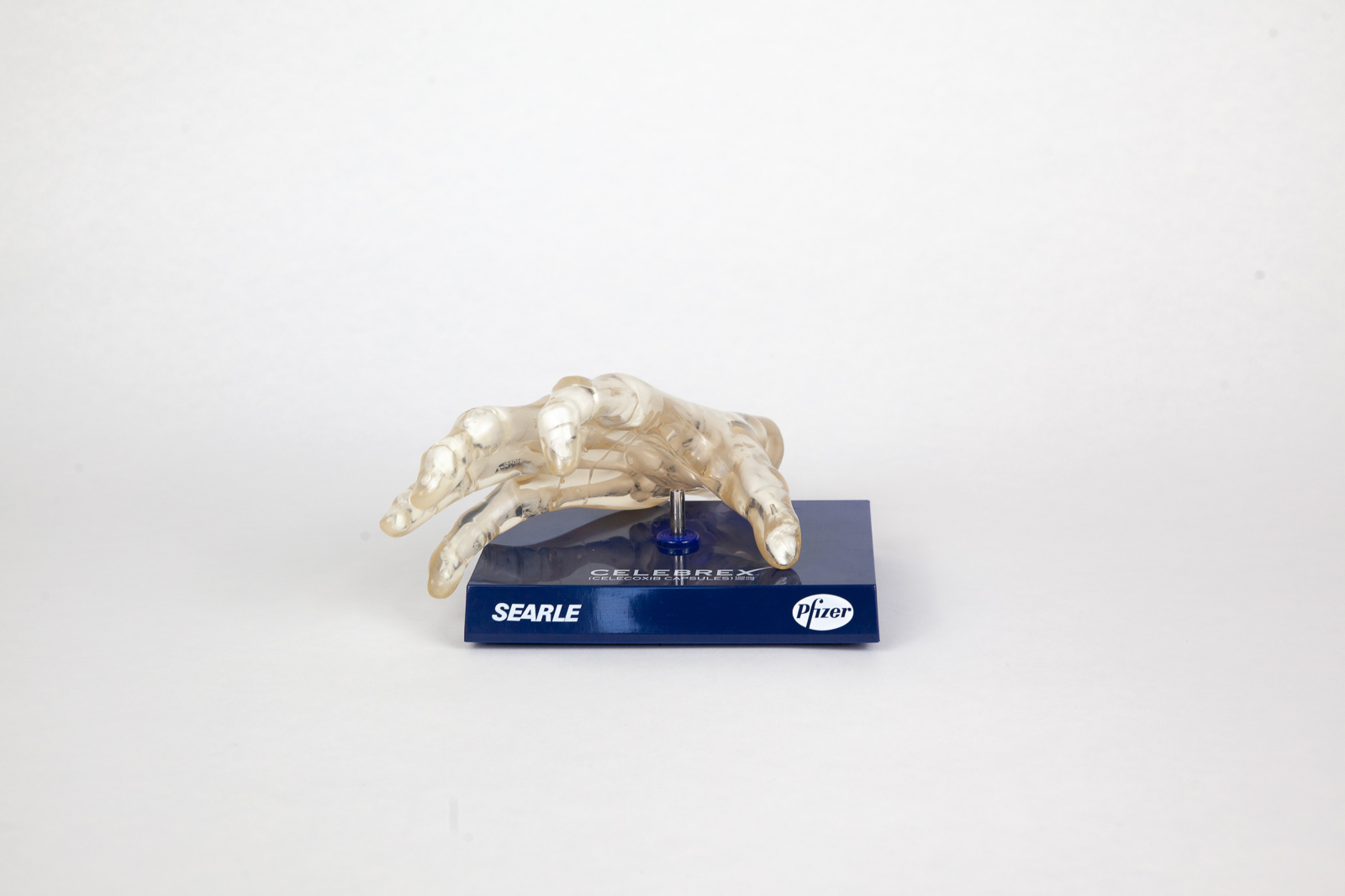 Phantom Hand Teaching Model | JonsBones: Responsibly Sourced Human ...