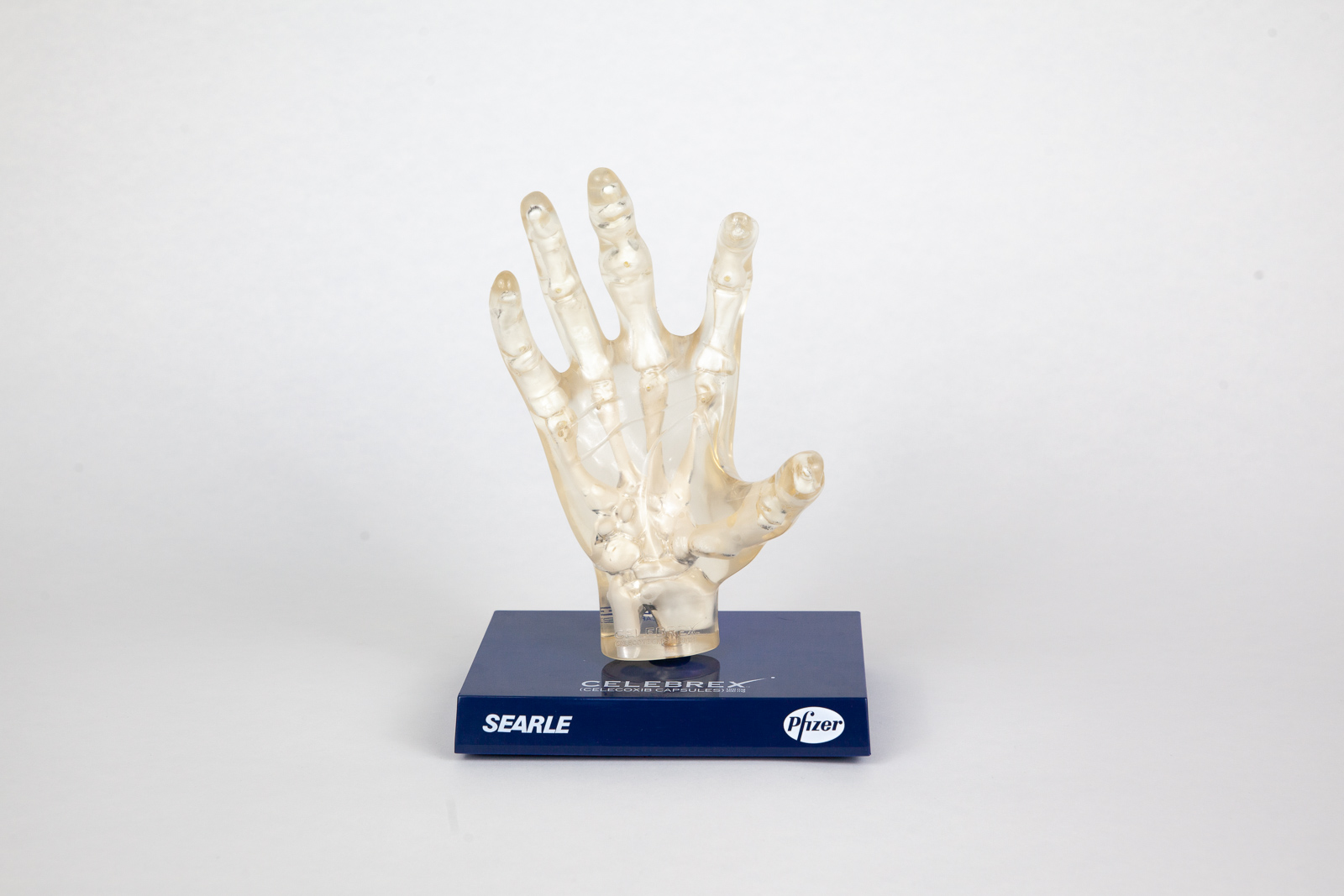 Phantom Hand Teaching Model | JonsBones: Responsibly Sourced Human ...