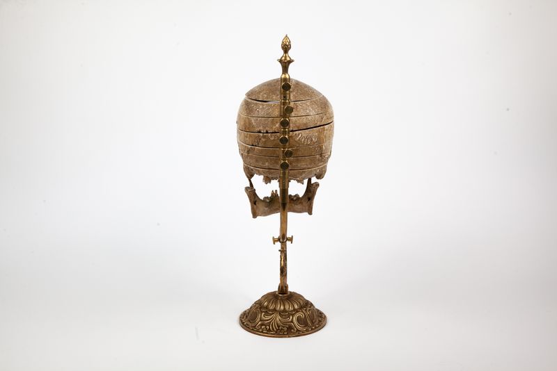 Sliced Exploded Skull | JonsBones: Responsibly Sourced Human Osteology