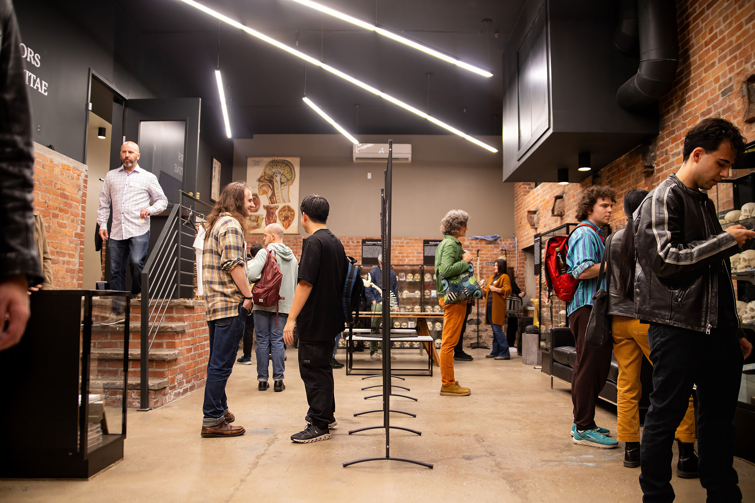 Introducing The Bone Museum | JonsBones: Osteology Education