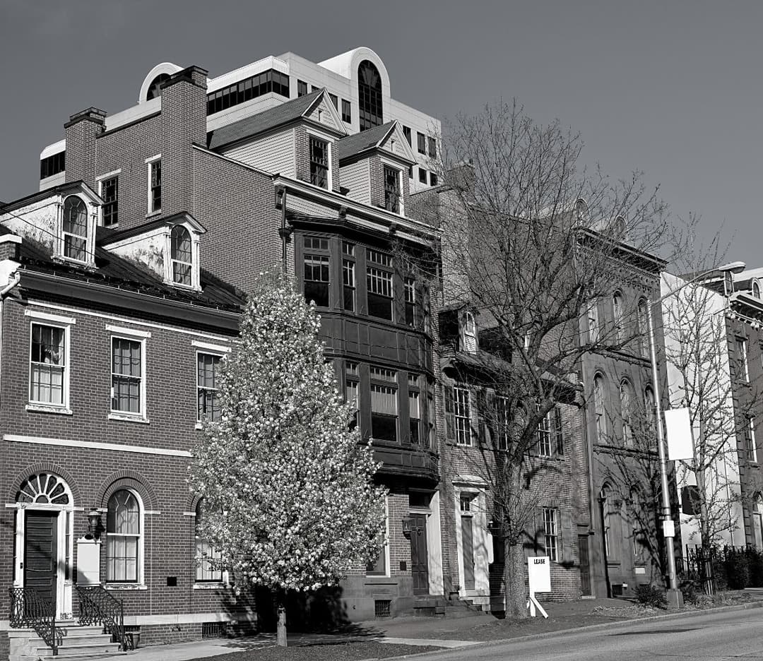 Preferred Dealer Solutions | Meet Our Team