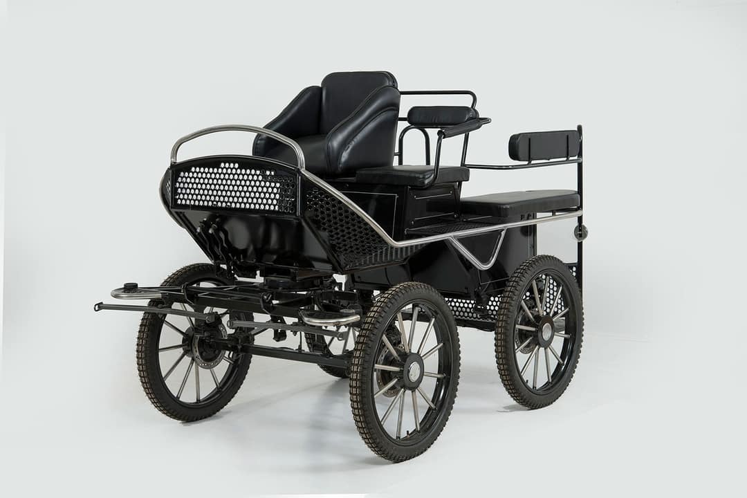 Chinese Horse Carriages | World Class Carriages