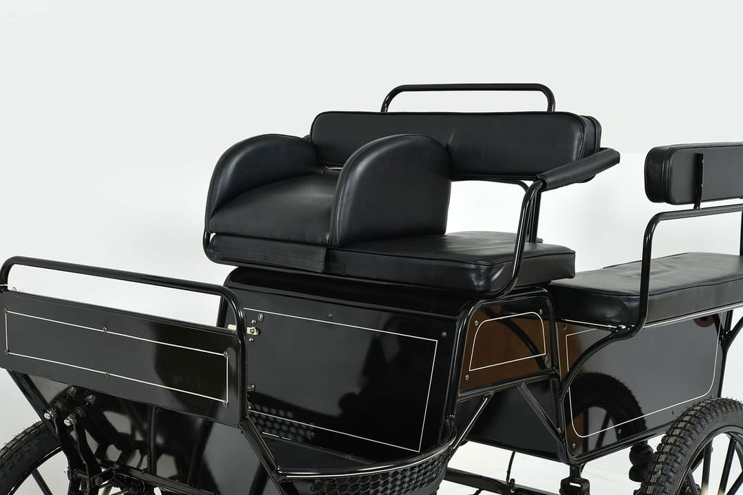 Chinese Horse Carriages | World Class Carriages