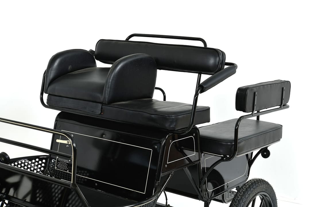 Chinese Horse Carriages | World Class Carriages