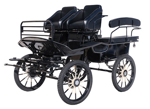 Chinese Horse Carriages | World Class Carriages