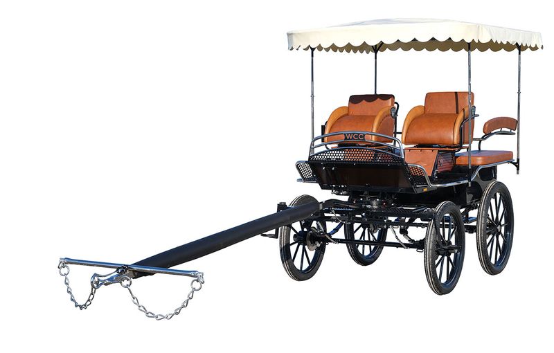 Training & Wagonette Carriages | World Class Carriages