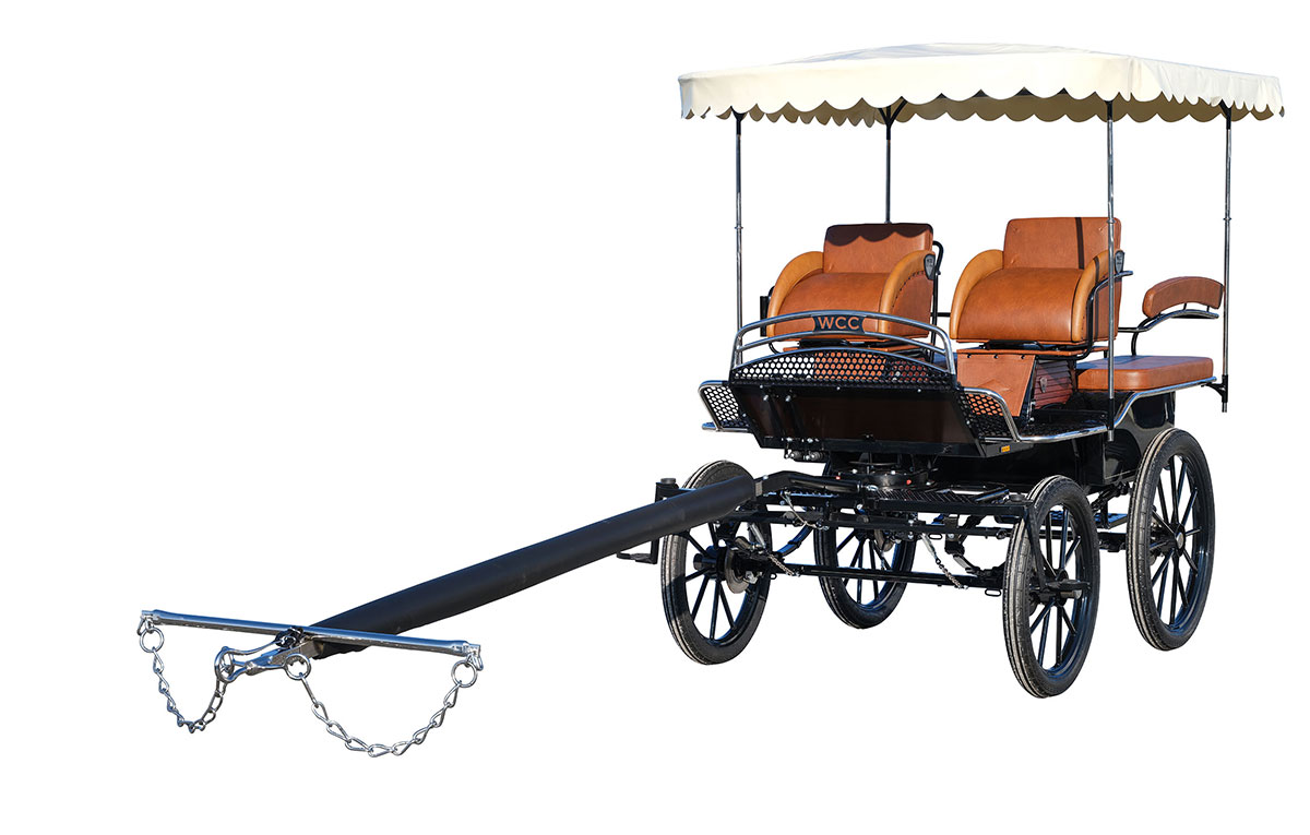 Training & Wagonette Carriages | World Class Carriages