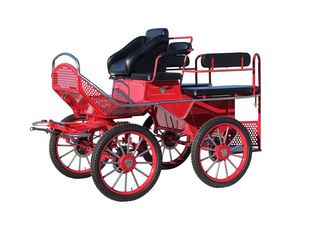 Chinese Horse Carriages | World Class Carriages