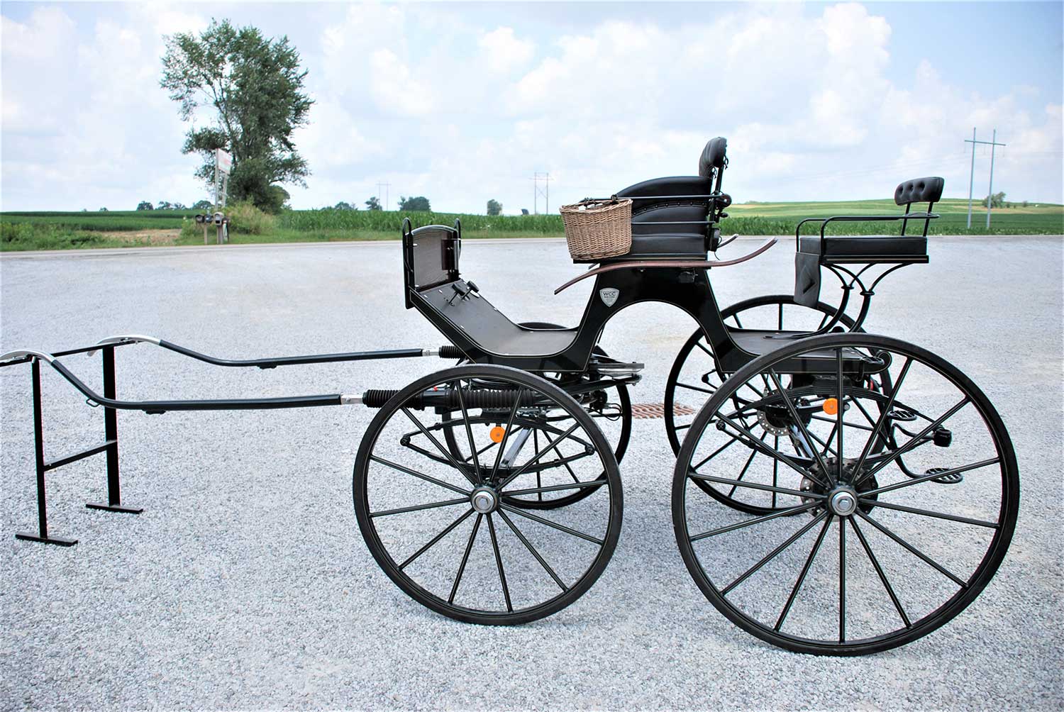 Presentation & Dressage Carriages | World Class Carriages