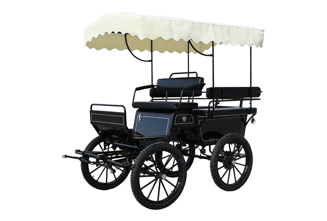 Chinese Horse Carriages | World Class Carriages