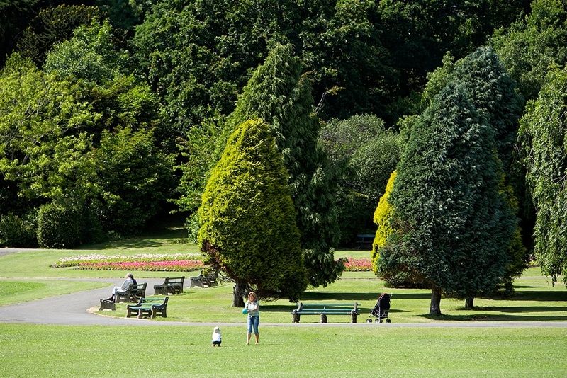 Romilly Park | Visit The Vale