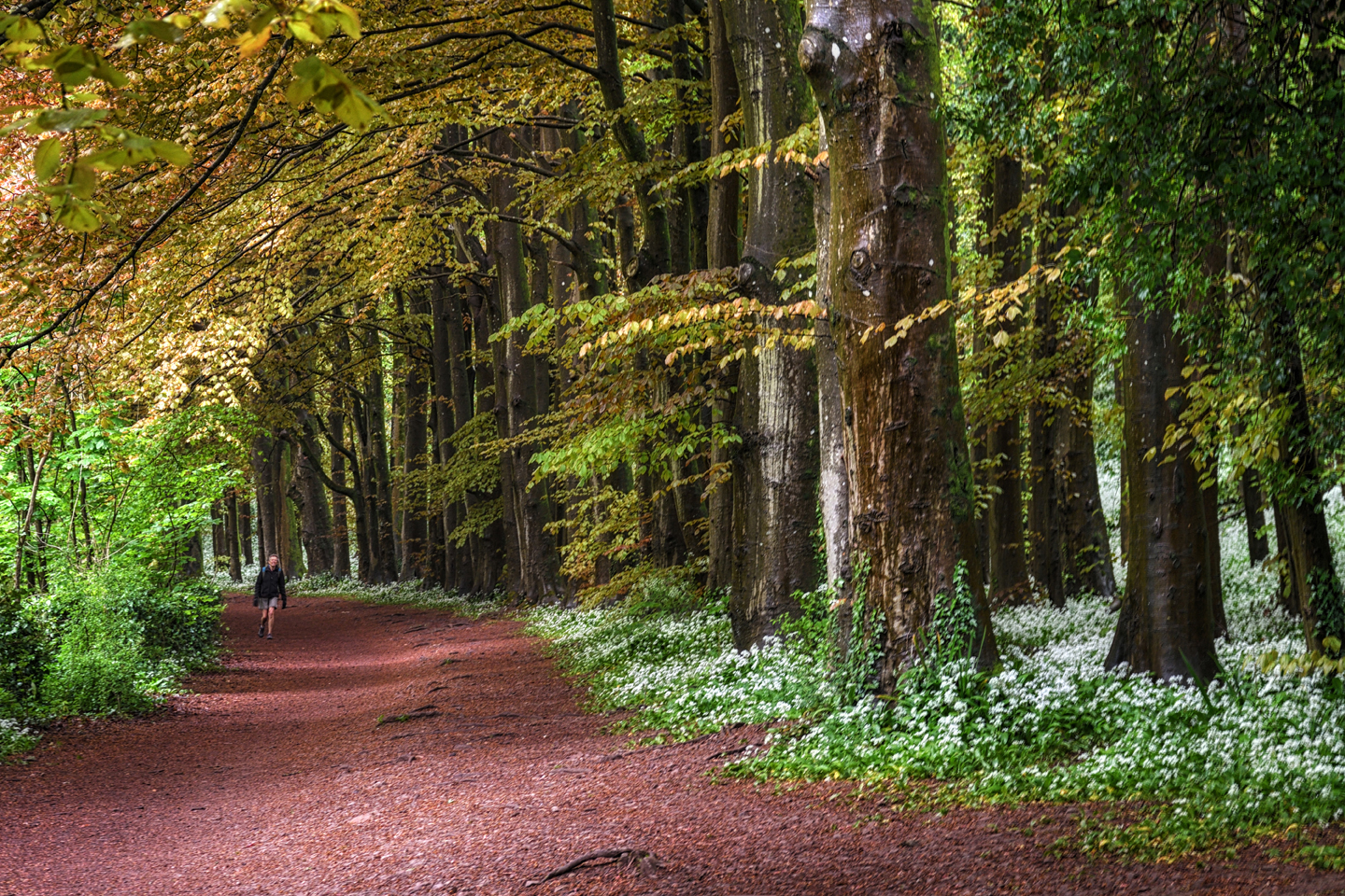 Vale Trails | Inspiration from Visit The Vale