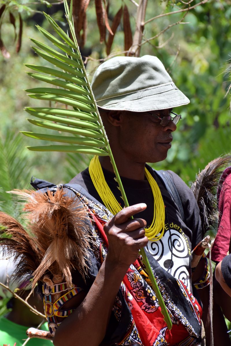 TICAH - Trust for Indigenous Culture and Health