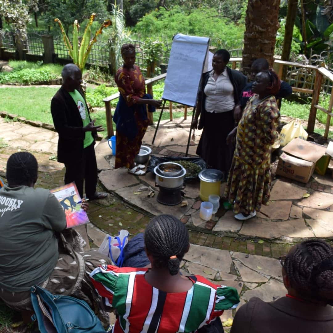 TICAH - Trust for Indigenous Culture and Health