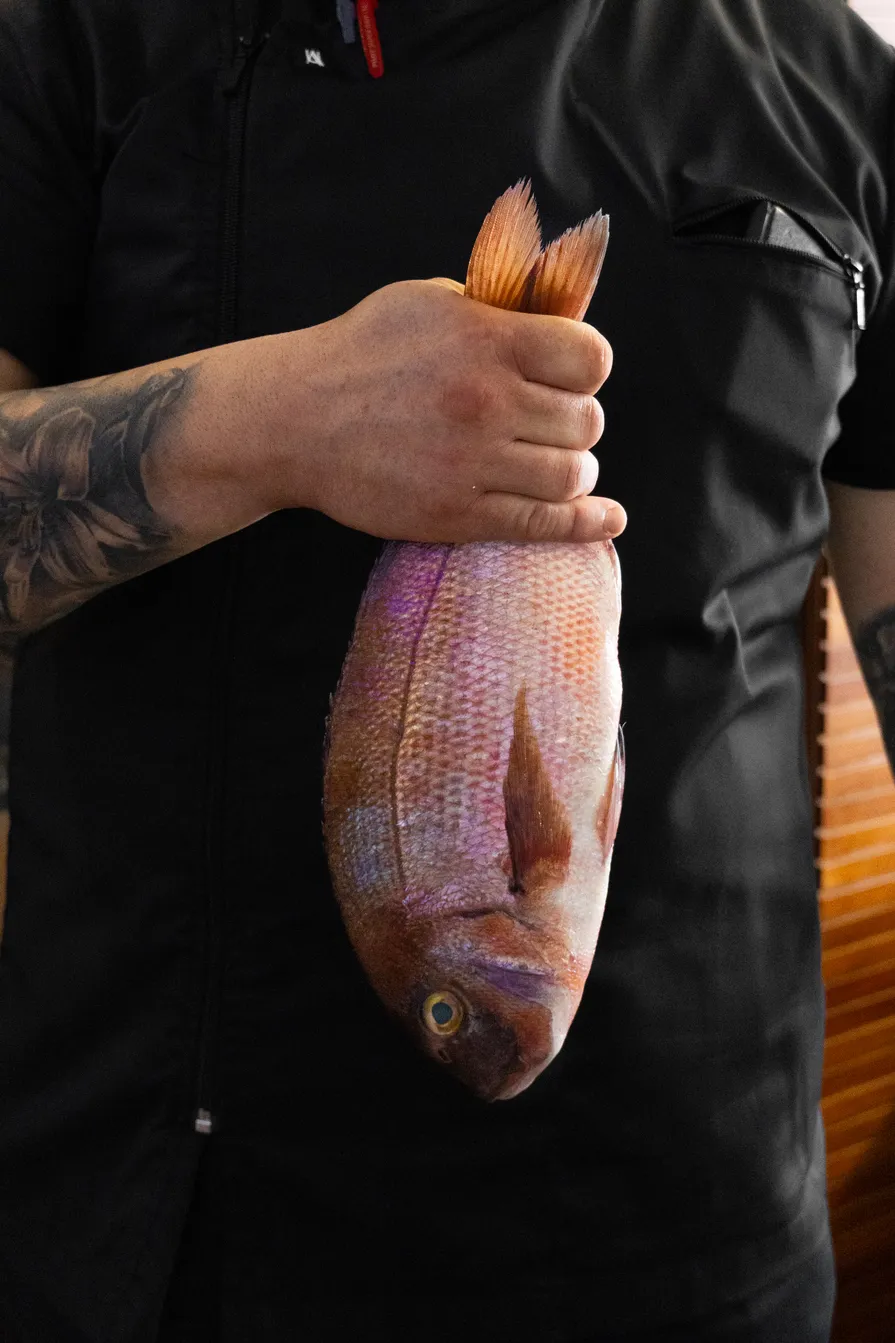 The Pelican Seafood Restaurant - Paphos, Cyprus