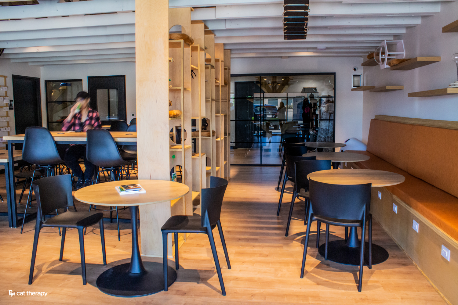 Indoor Cat Room Ideas Inspired by Cat Cafe Design