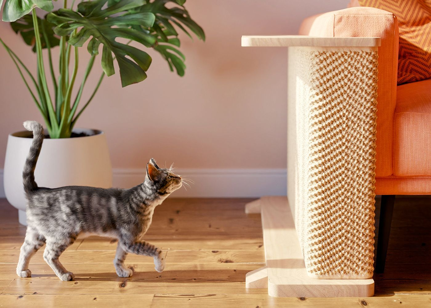 Behind the Brand: Hilde & Phil's Cat-e-Corner Couch Scratcher Side Table