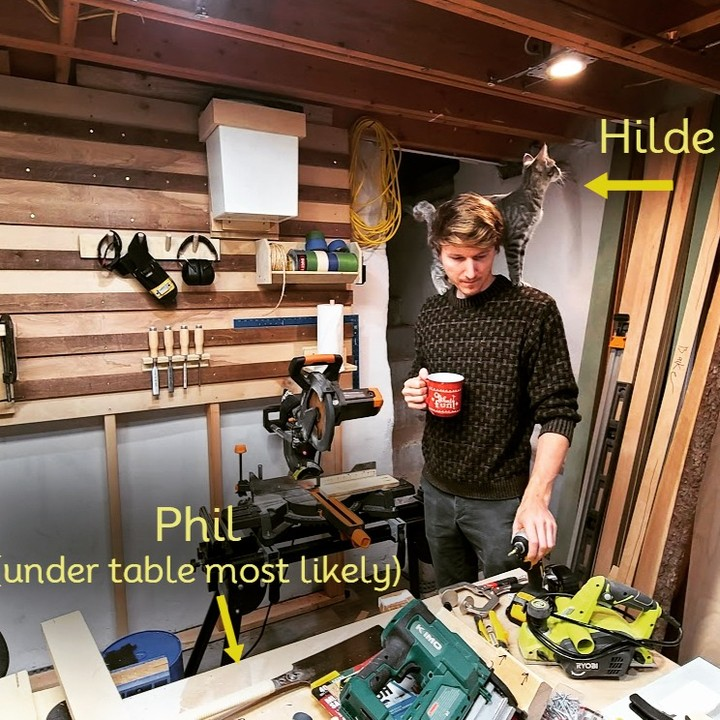 Behind the Brand: Hilde & Phil's Cat-e-Corner Couch Scratcher Side Table