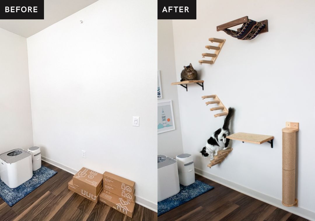 Cat Shelf Layout Design