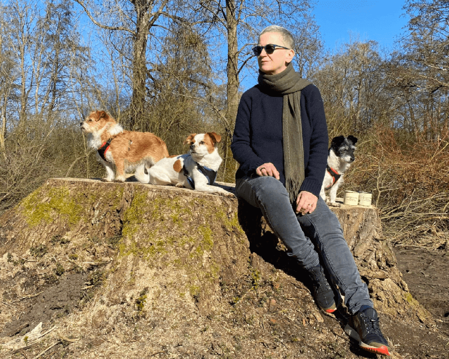 Artist Story: Versatile musician Anne Clark presents herself