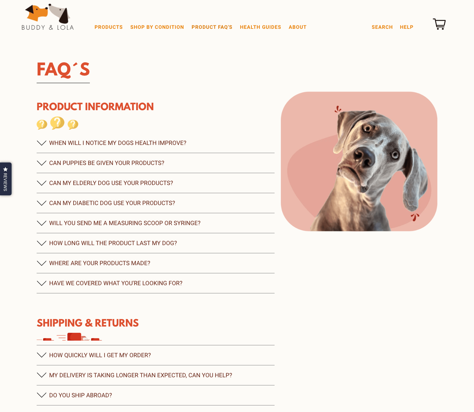 How to Create an Incredible Shopify FAQ Page (+ Templates)