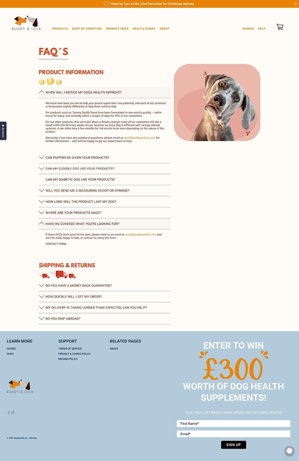 9 Incredible FAQ Page Examples That Keep Customers Informed