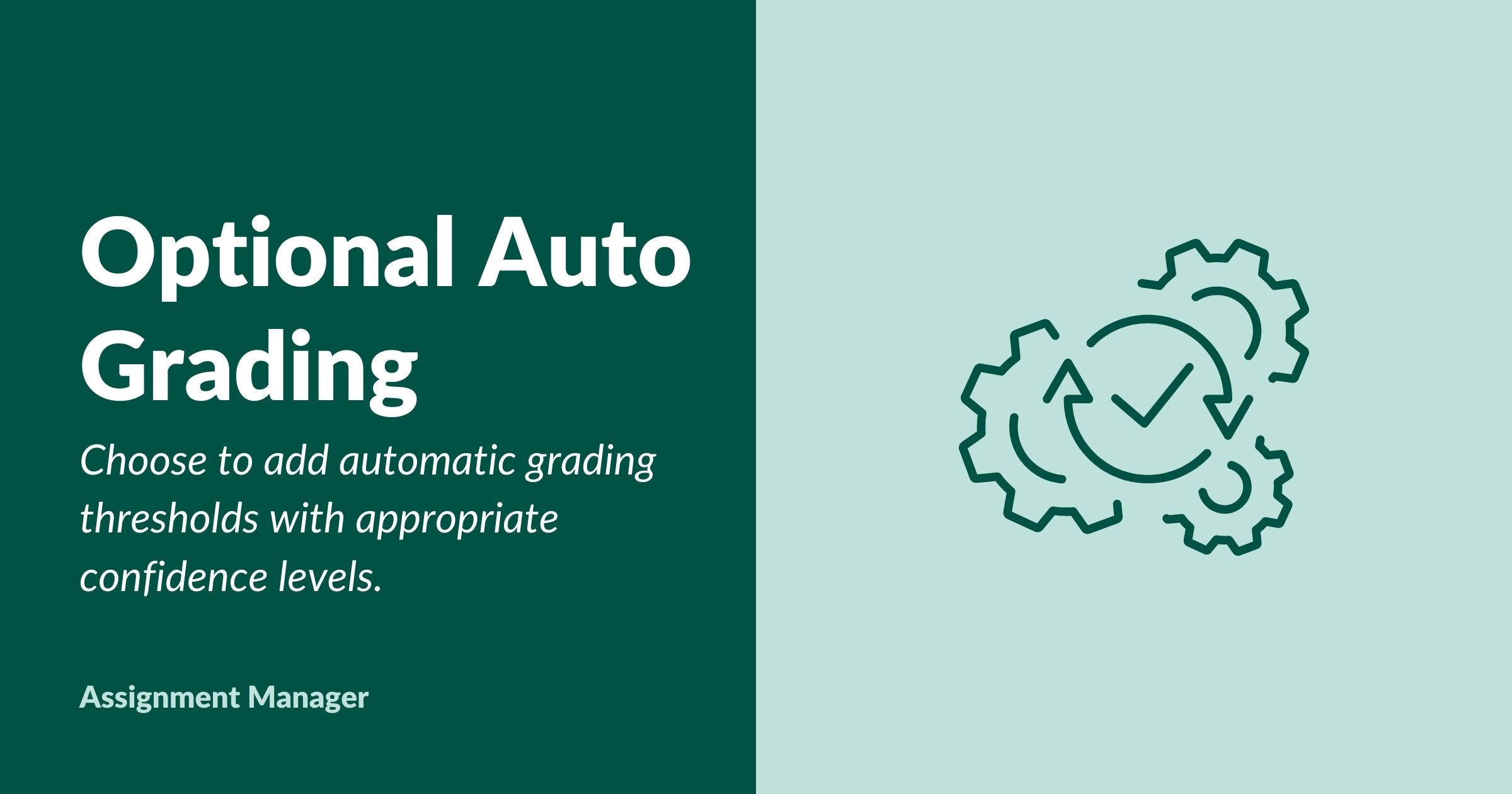 Optional Auto Grading | Graide - AI enhanced assessment & feedback