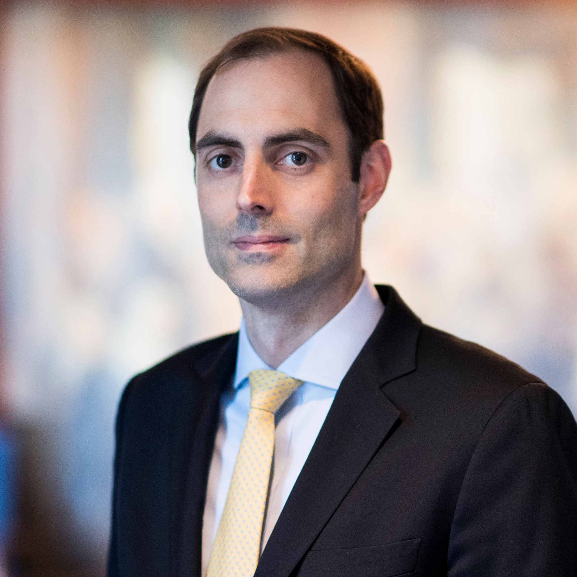 About The Democracy Group