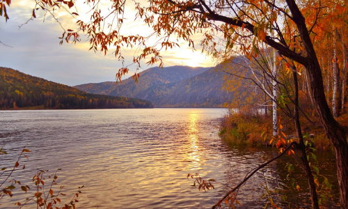 Top 5 Reasons to Move to East Tennessee | Tennessee National Blog