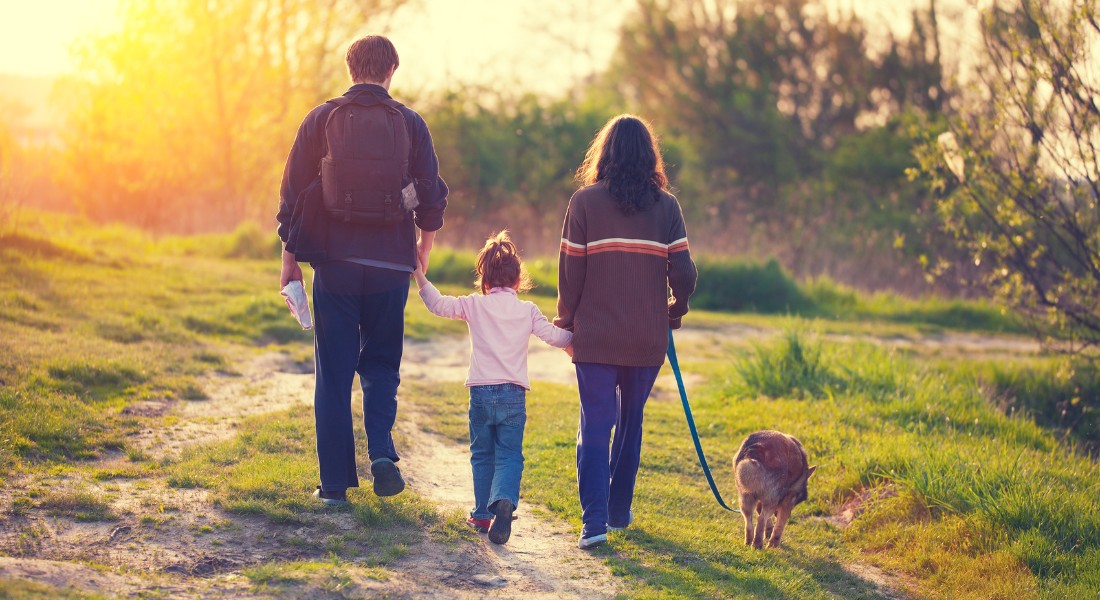 10 Custom Home Features of your Pet's Dream Home | Tennessee National Blog