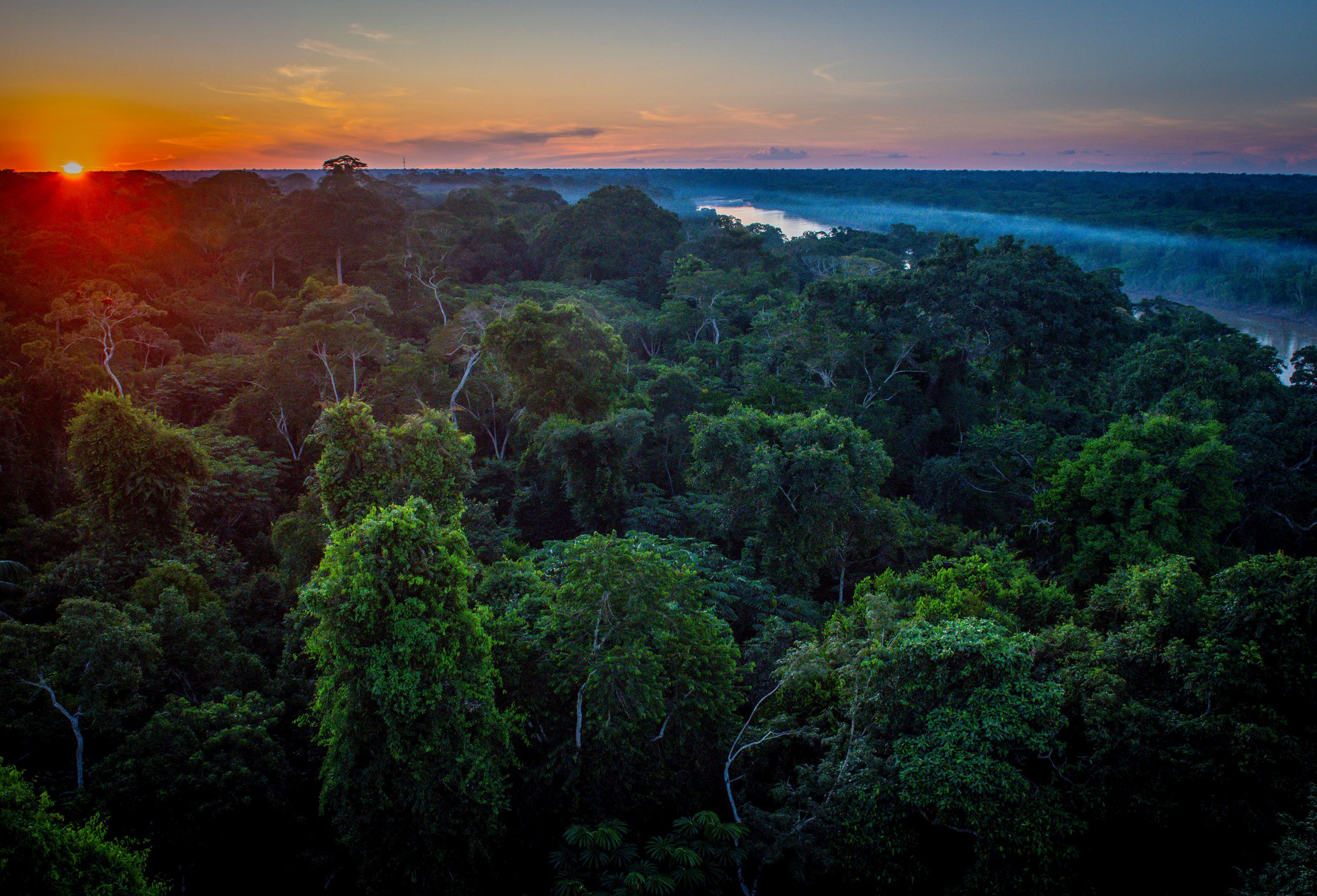 Dr. Amanda Stronza | Research & Conservation