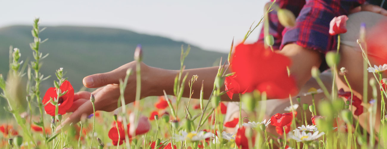 Delayed Transition from Adolescence to Adulthood: an Expected Response ...